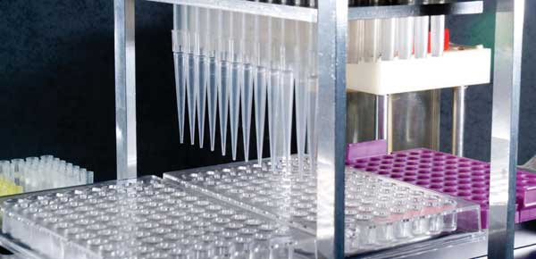 How to choose the right platform for high-throughput DNA extraction