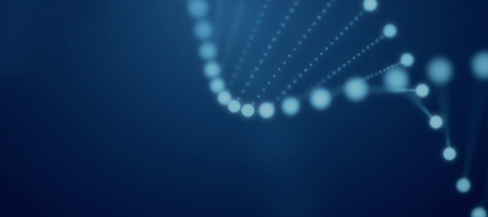 The top ten most studied human genes of all time