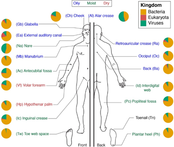 4 critical considerations for collecting skin microbiome samples