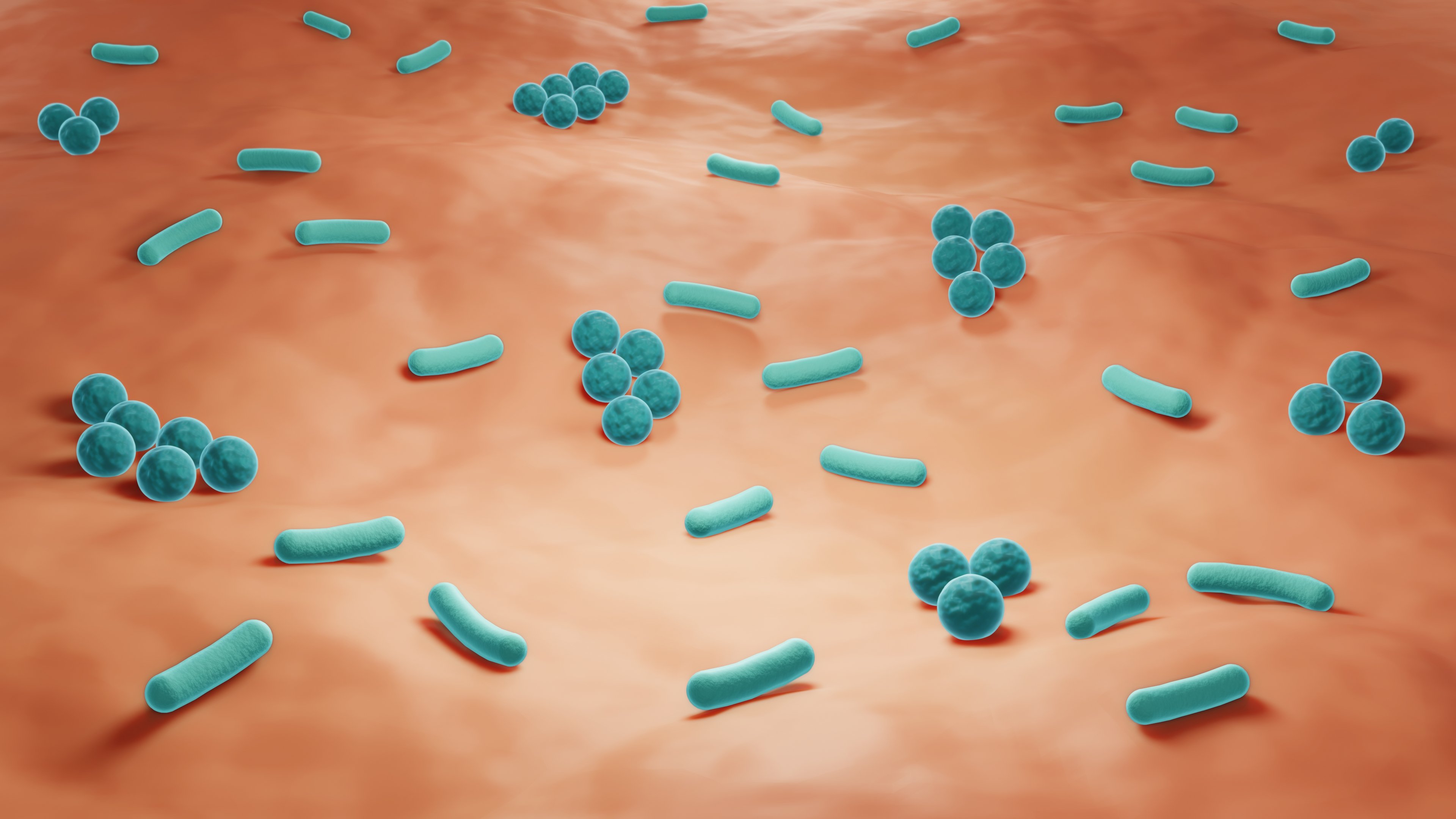 Beyond microbial identification: analyzing metatranscriptomics versus ...