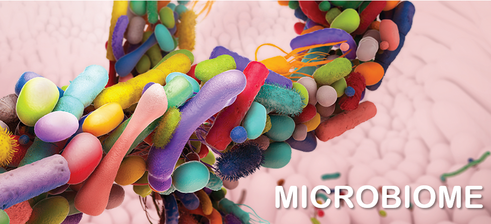 DNA Genotek's top 3 gut microbiome publication picks for 2018